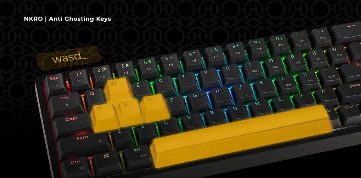 RAKK Pirah: Affordable and High-Quality Wireless Mechanical Keyboard ...